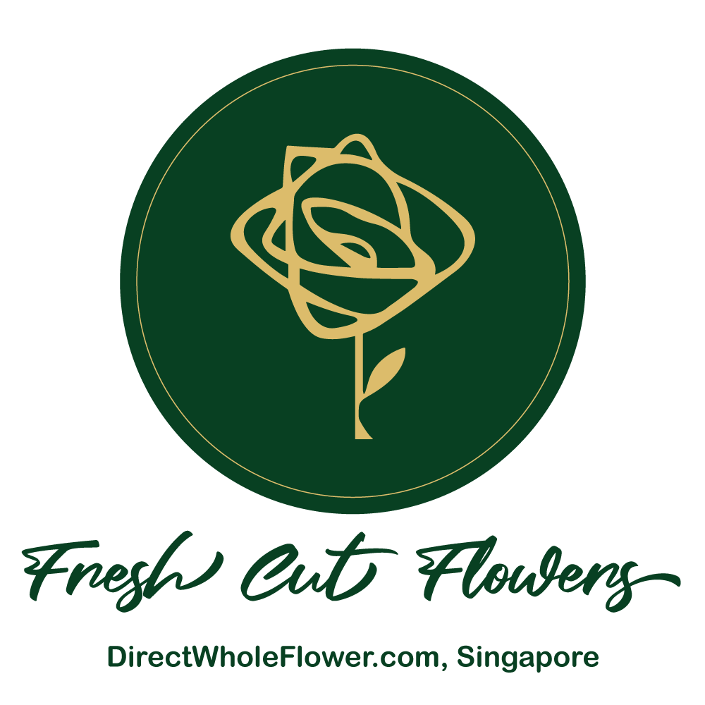 Buy Direct Flower Wholesale in Singapore | DWF Group